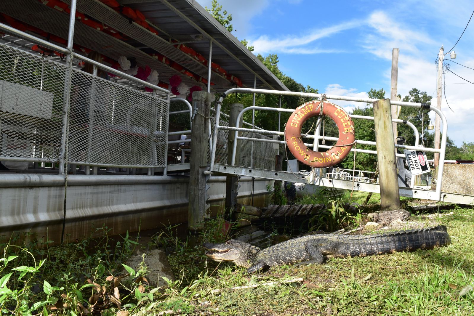 Swamp Animals | Jean Lafitte Swamp Tours